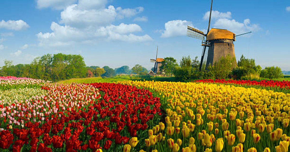 4-Tagesfahrt nach Holland - Sozialverband VdK Hessen-Thüringen e.V.